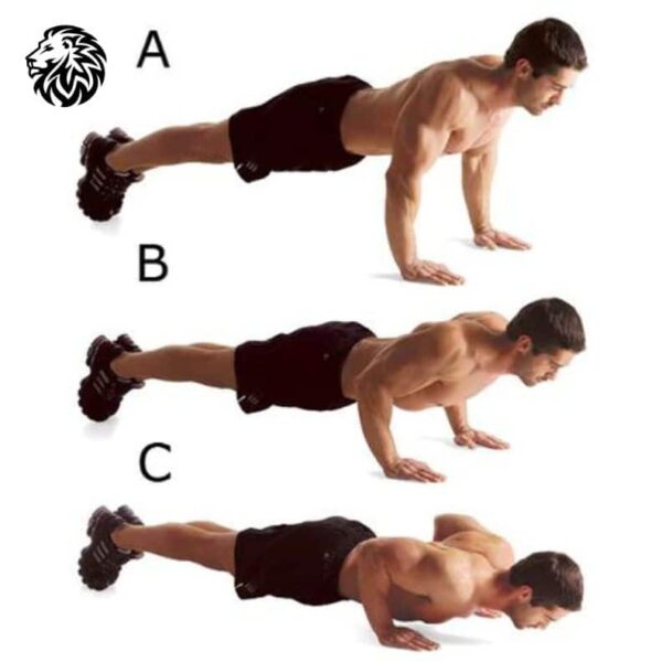 The Top 7 Chest Exercises for Strength and Size - Angry Lion Fitness