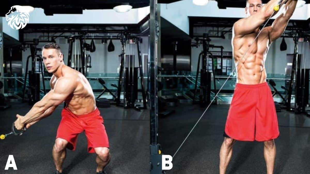 5 Best Cable Ab Exercises for a Strong Core - Angry Lion Fitness