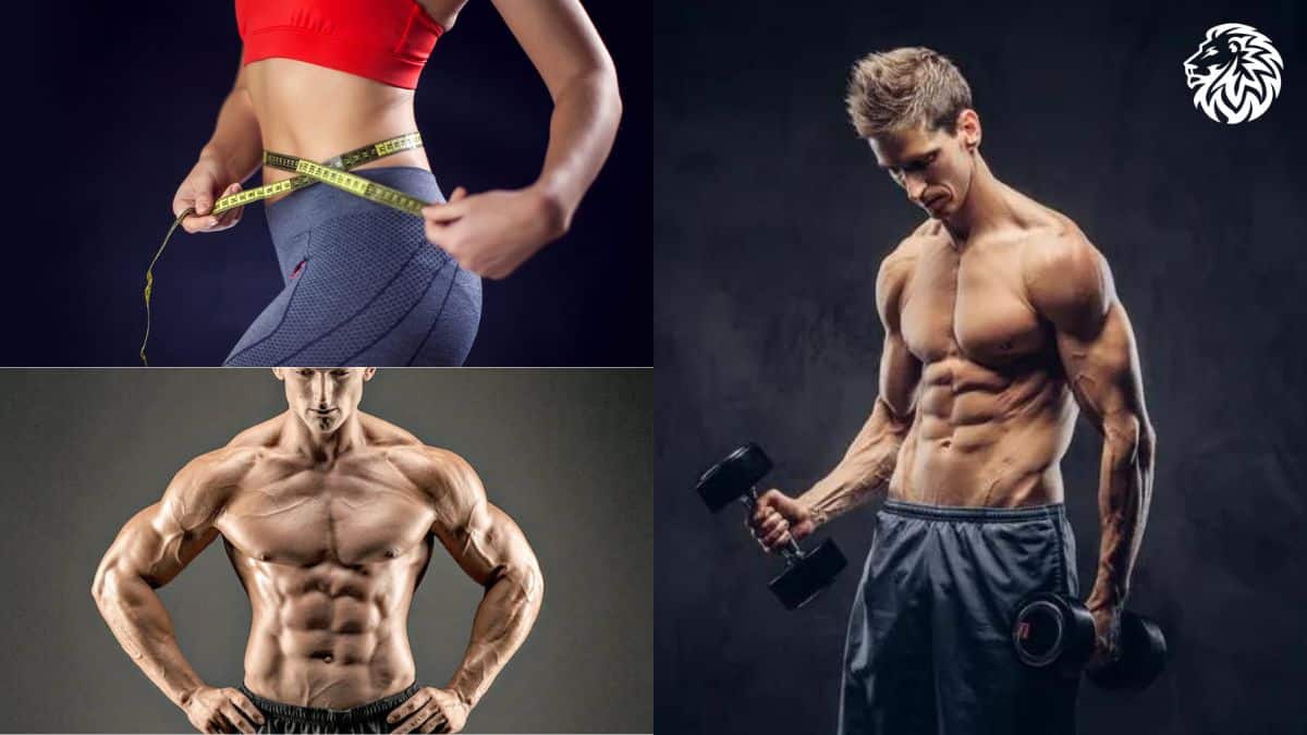 What You Need to Know to Get Six-Pack Abs - Angry Lion Fitness