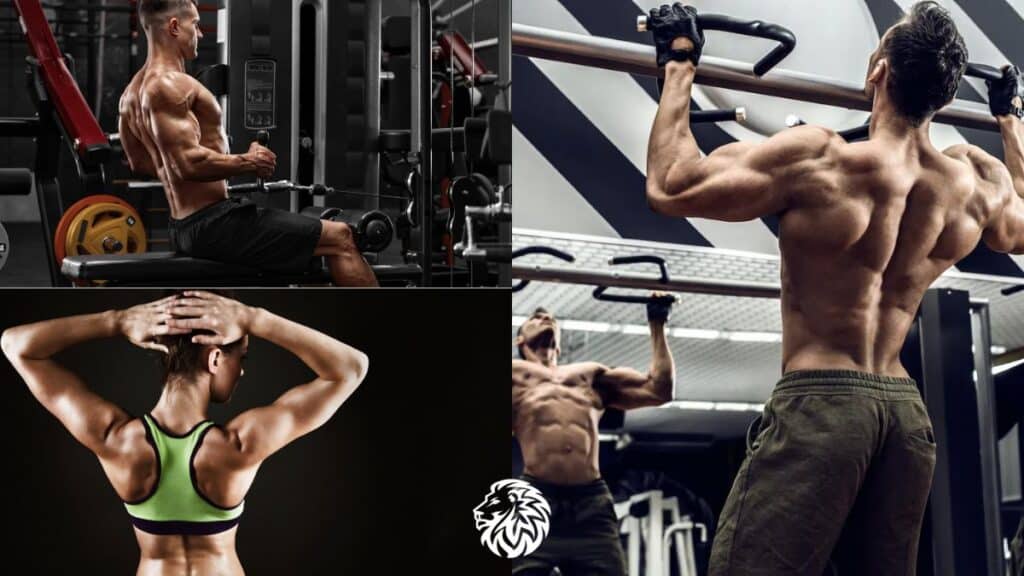 The 5 Best Exercises to Maximize Muscle Growth in Your Back - Angry ...