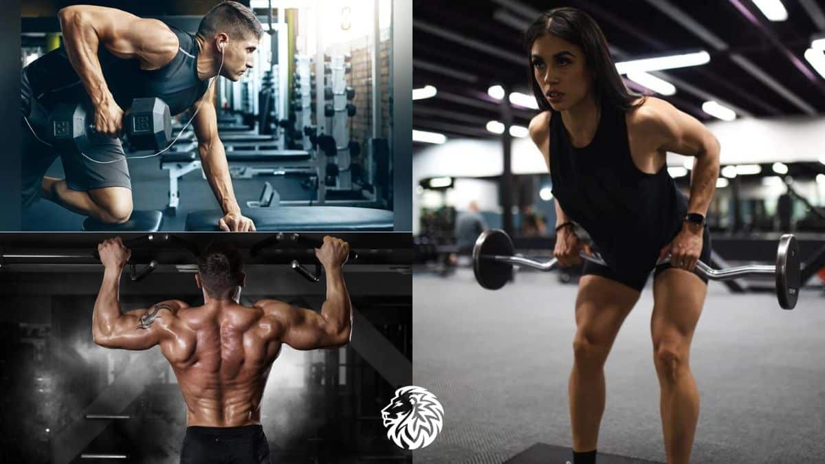 The 5 Best Exercises to Maximize Muscle Growth in Your Back - Angry ...