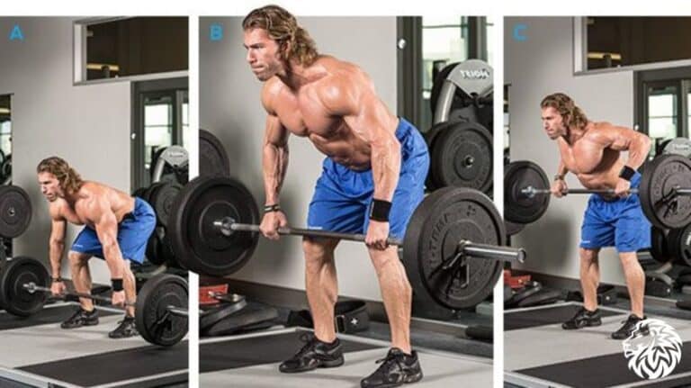 The 5 Best Exercises to Maximize Muscle Growth in Your Back - Angry ...