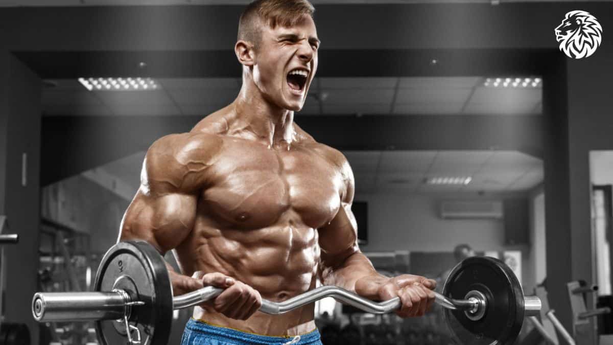 How Often Should I Train My Biceps per Week? - Angry Lion Fitness