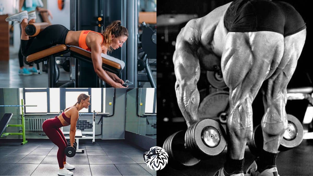 7 Strength Building Hamstring Exercises You Can Do at Home - Angry Lion ...