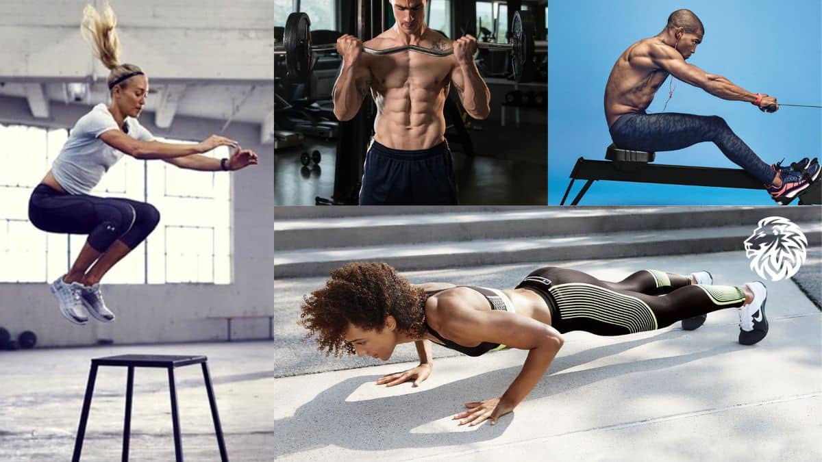 7 Best Fat Burning Workouts to Lose Belly Fat Quickly - Angry Lion Fitness