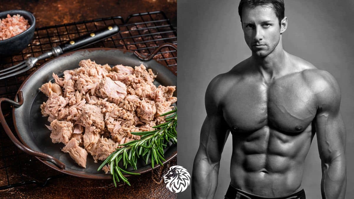 What is a High Protein Diet? - Angry Lion Fitness