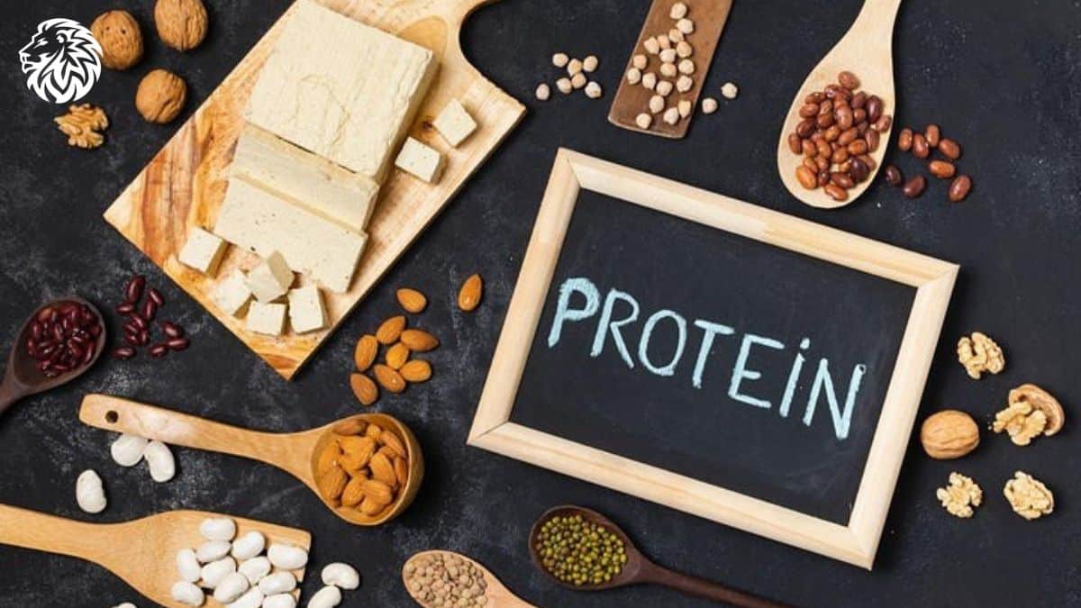 High Protein Diet: Pros and Cons - Angry Lion Fitness