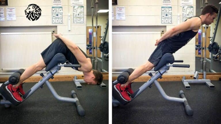 What are the Best Workouts for Your Back? - Angry Lion Fitness