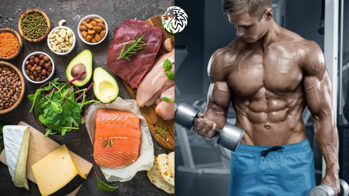 How To Bulk: A Complete Nutrition Plan For Muscle Growth - Angry Lion ...