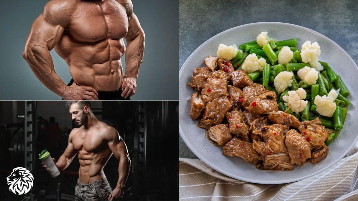 How Long Should Bulking and Cutting Cycles Be? - Angry Lion Fitness