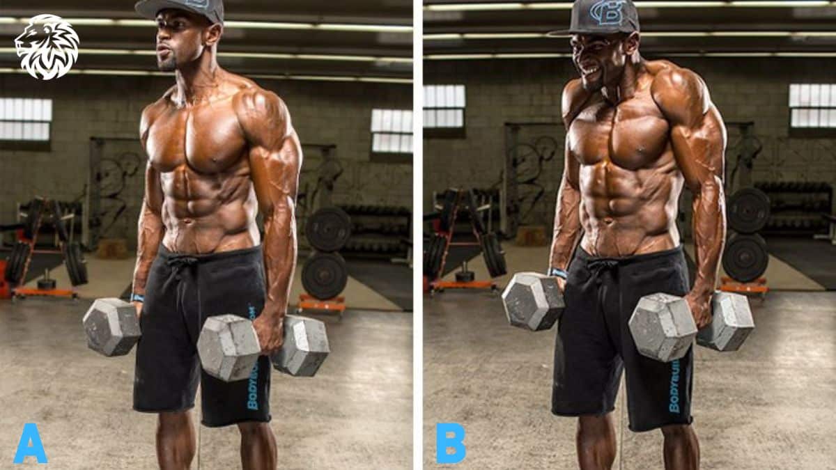 6 Trapezius Muscle Exercises for Building Big Traps - Angry Lion Fitness