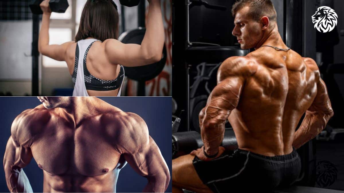 The Best Dumbbell Exercises for Building Stronger Shoulders - Angry ...