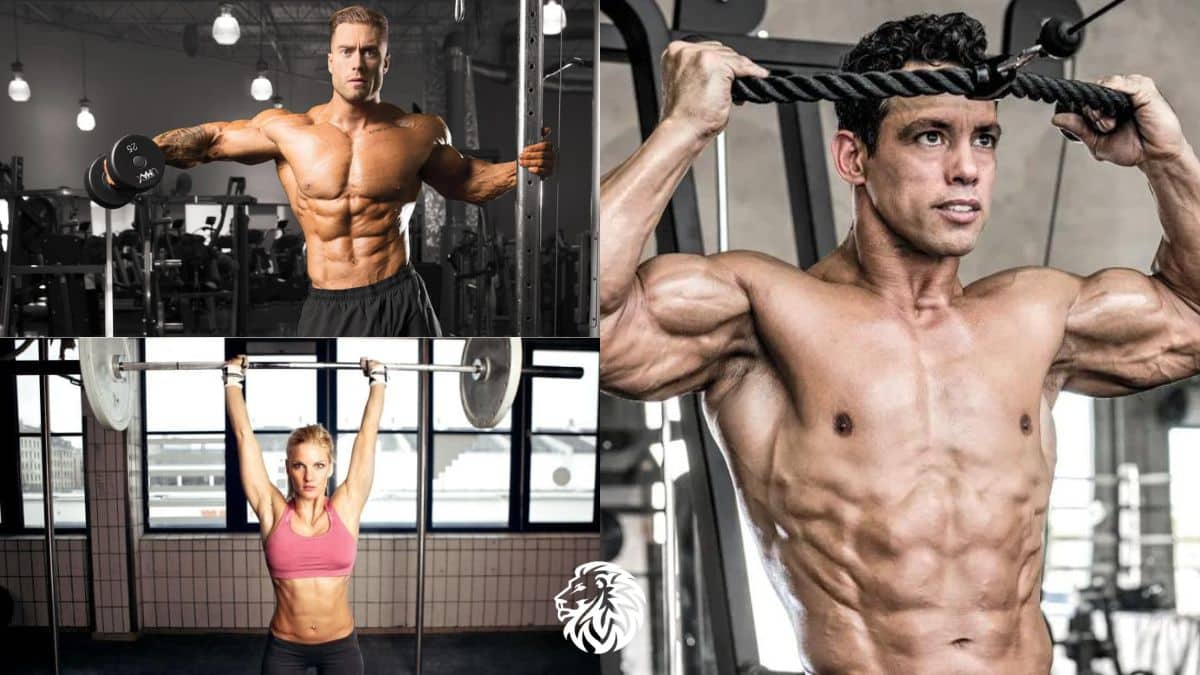 Best Shoulder Exercises You Can Do at Home - Angry Lion Fitness