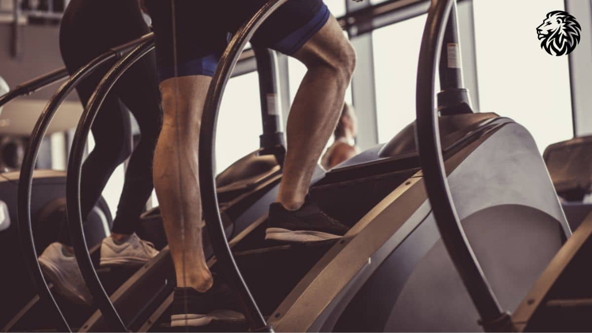 10 Benefits of the Stair Climber You Should Know - Angry Lion Fitness