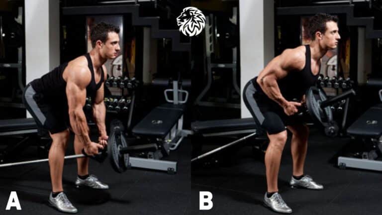 The 5 Best Exercises to Maximize Muscle Growth in Your Back - Angry ...