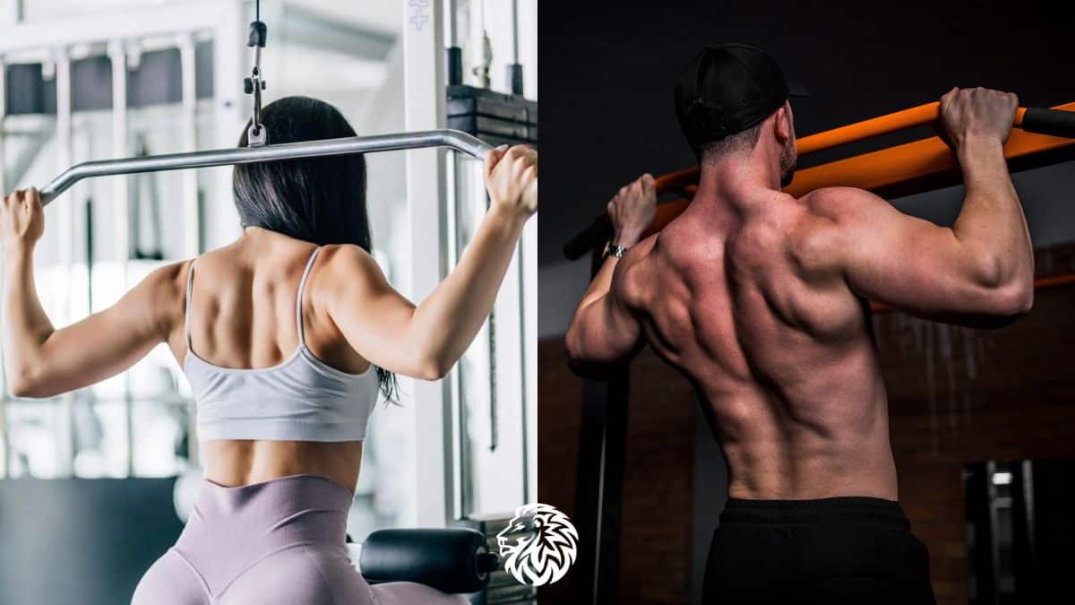 How to Sculpt Your Back: Techniques and Tips for a Stronger Back ...