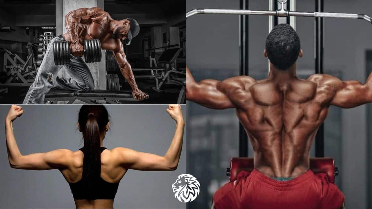 How to Sculpt Your Back: Techniques and Tips for a Stronger Back ...