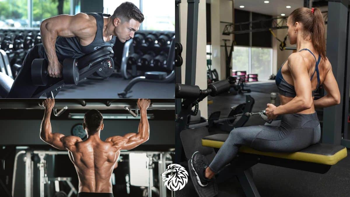 How to Sculpt Your Back: Techniques and Tips for a Stronger Back ...