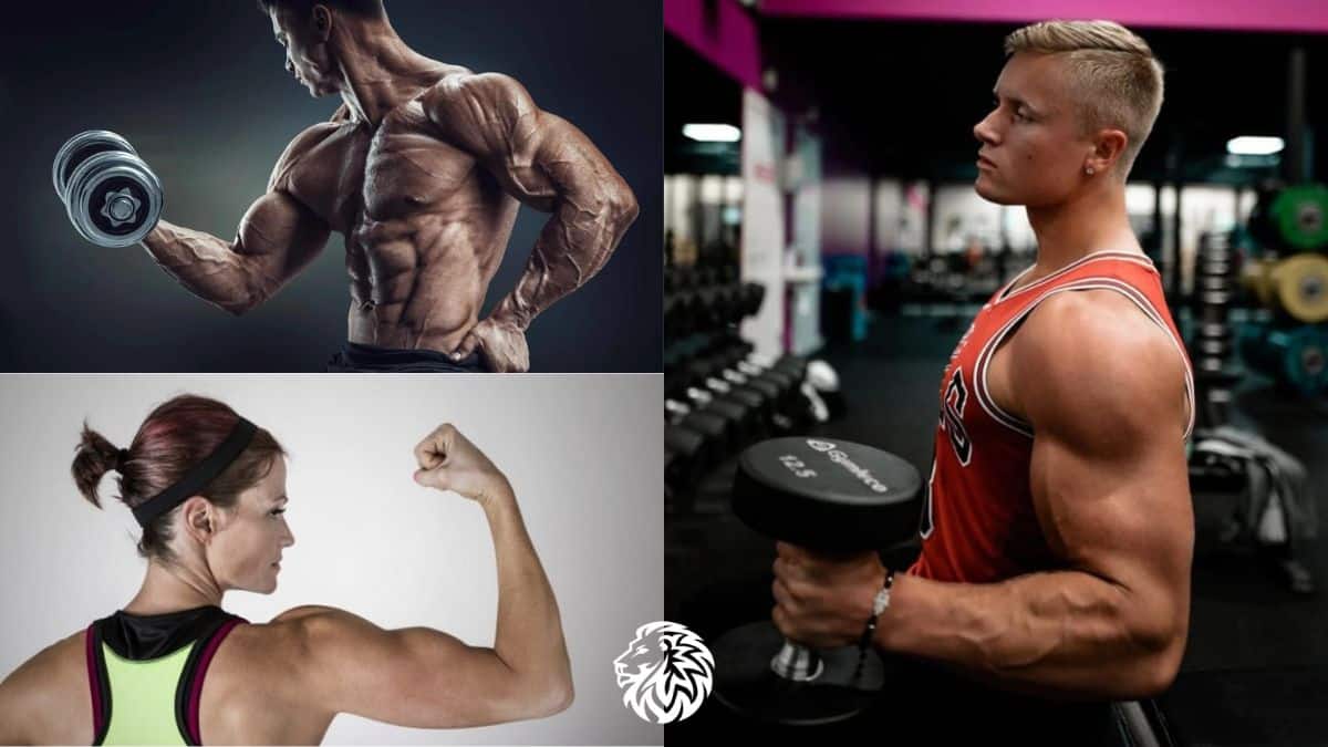 How to Get Bigger Biceps in 10 Easy Steps - Angry Lion Fitness