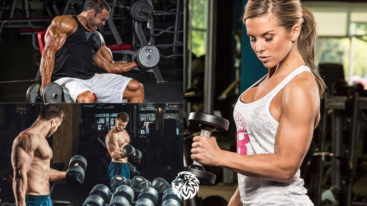 How to Get Bigger Biceps in 10 Easy Steps - Angry Lion Fitness