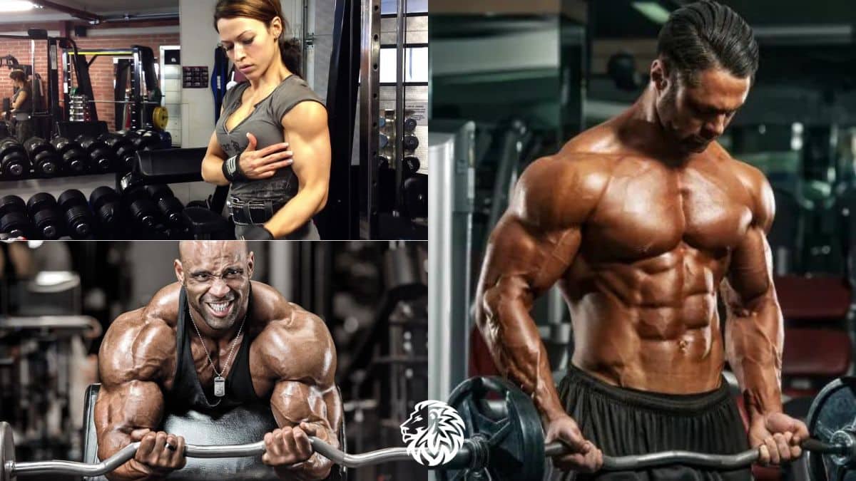 How to Get Bigger Biceps in 10 Easy Steps - Angry Lion Fitness