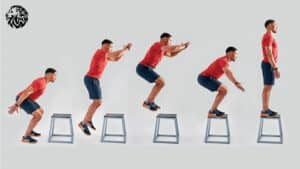 8 Quad Exercises for Beginners - Angry Lion Fitness