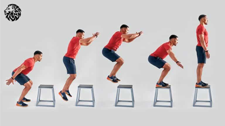 8 Quad Exercises for Beginners - Angry Lion Fitness