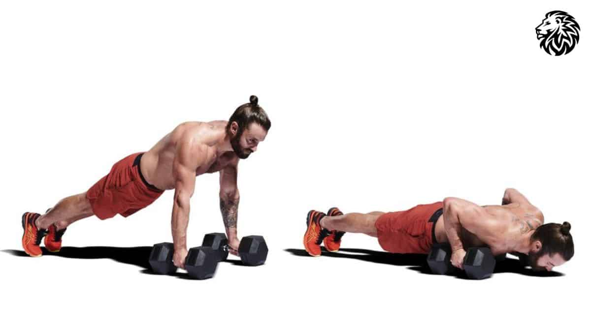 The 8 Best Dumbbell Chest Exercises - Angry Lion Fitness