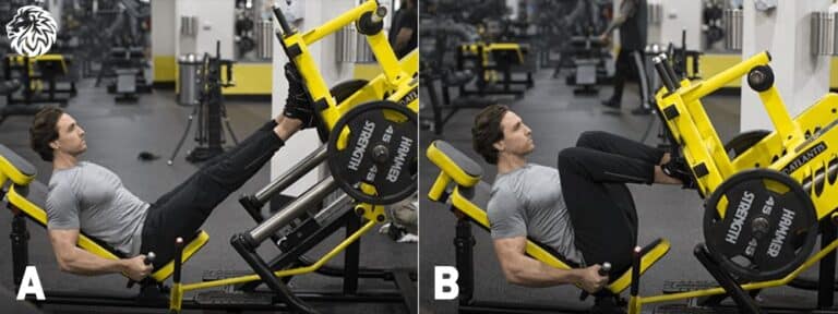 8 Quad Exercises for Beginners - Angry Lion Fitness