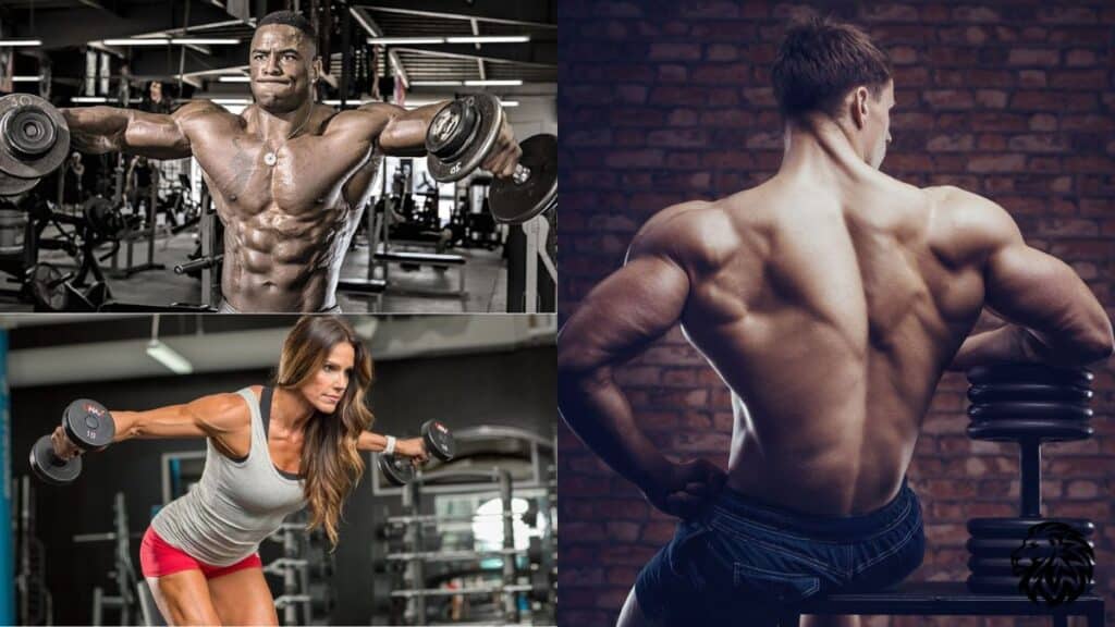 7 Shoulder Exercises for Strength and Size - Angry Lion Fitness