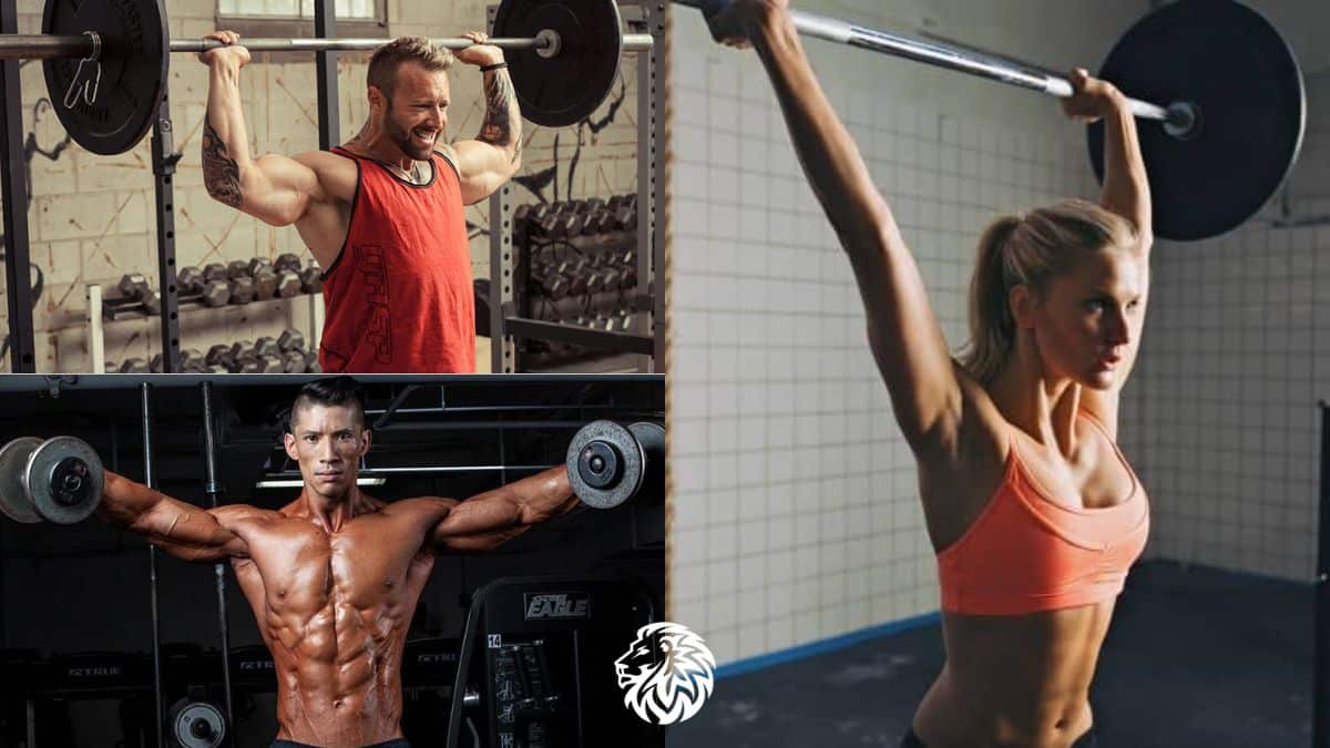 7 Shoulder Exercises for Strength and Size - Angry Lion Fitness