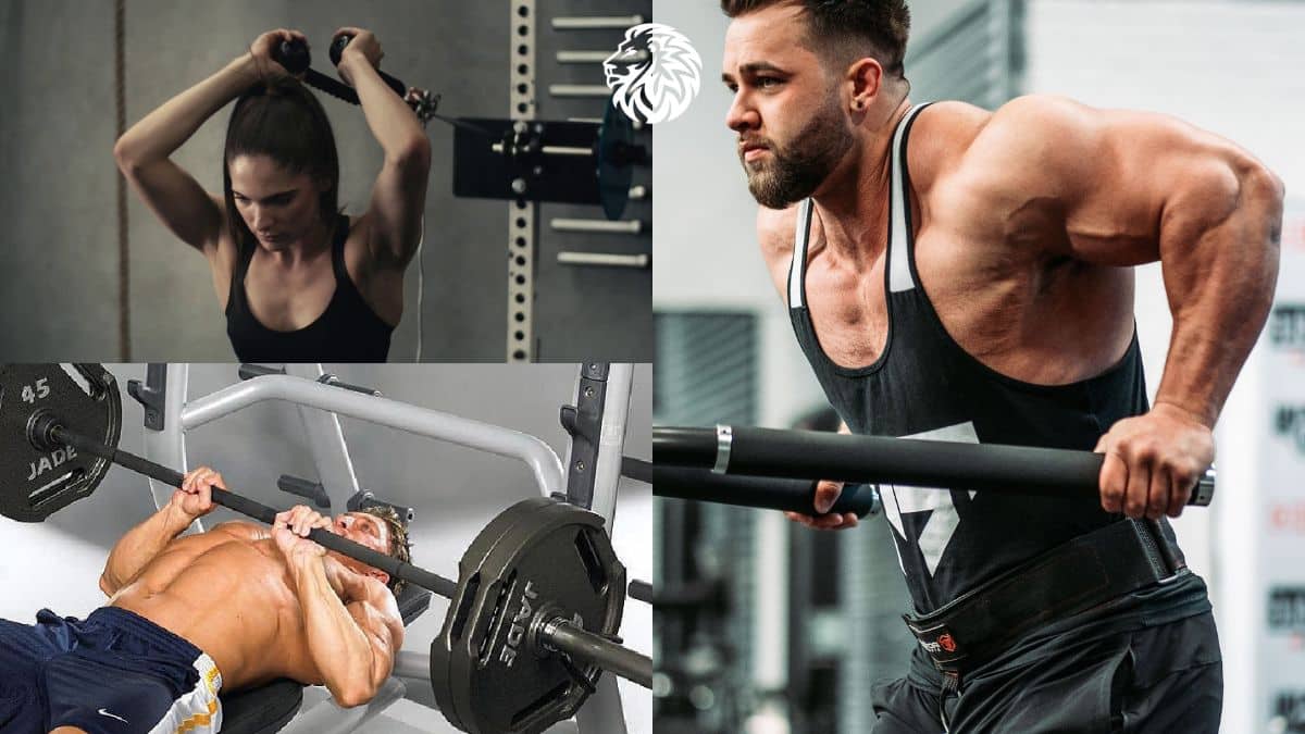 Do These Three Exercises for Stronger Triceps - Angry Lion Fitness