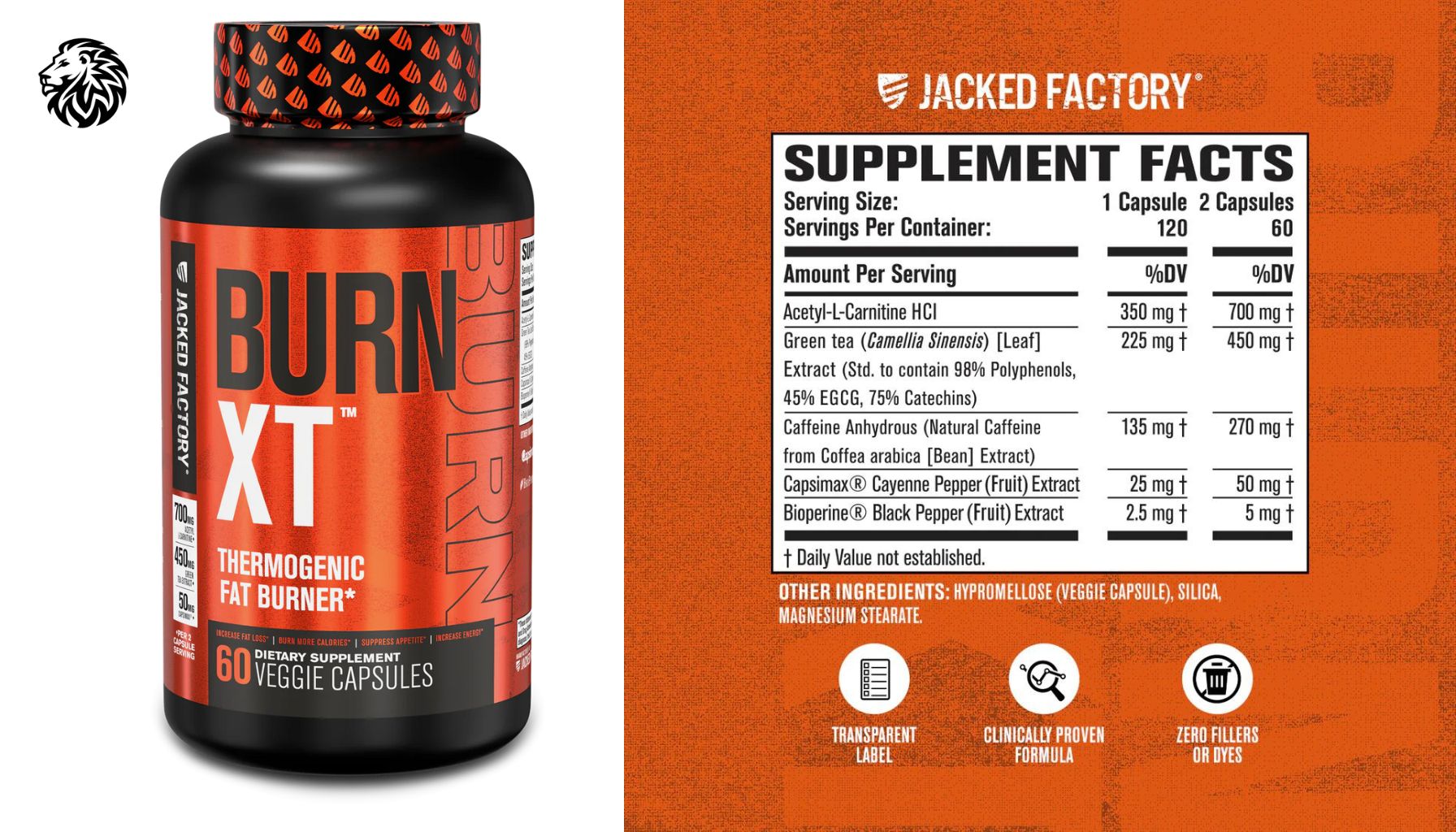 Burn XT (Fat Burner) Review - Angry Lion Fitness