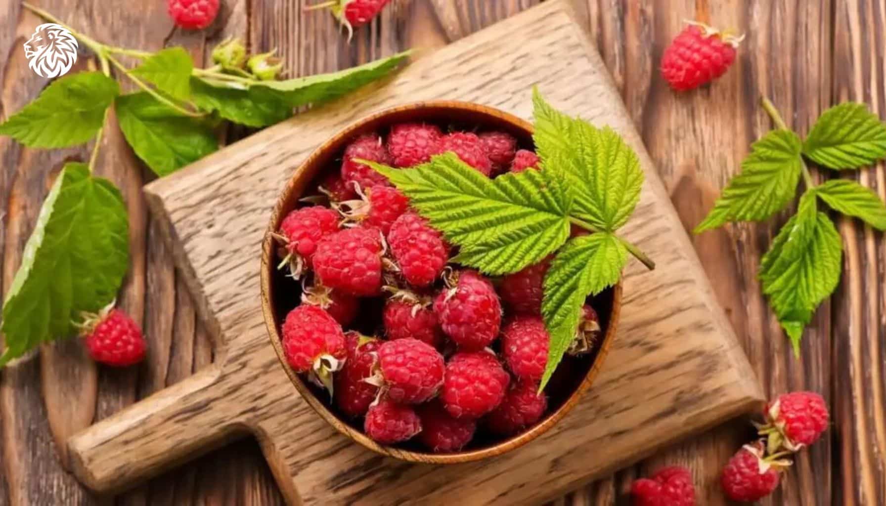 The Power of Raspberry Ketones for Weight Loss - Angry Lion Fitness