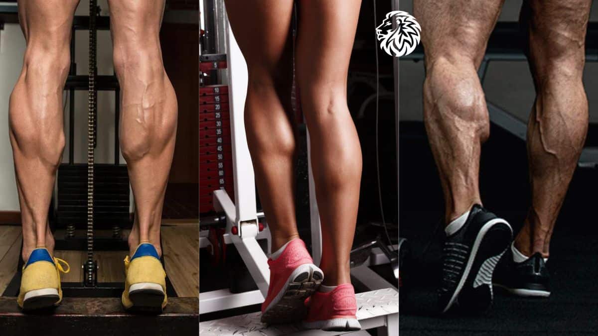 The 10 Best Calf Exercises - Angry Lion Fitness