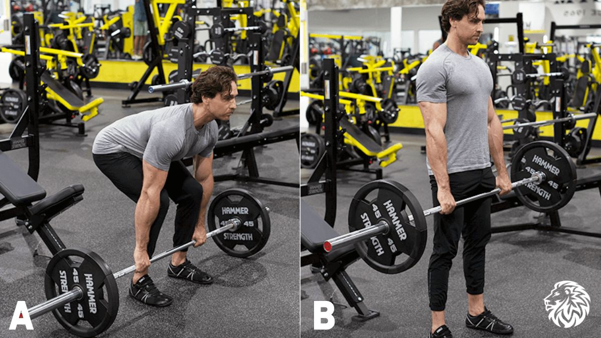 The 10 Best Hamstring Exercises - Angry Lion Fitness