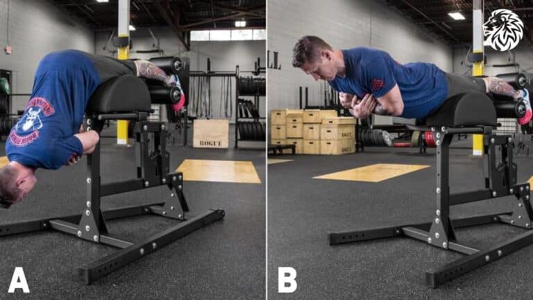 The 10 Best Hamstring Exercises - Angry Lion Fitness