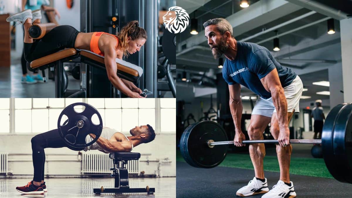 The 10 Best Hamstring Exercises - Angry Lion Fitness