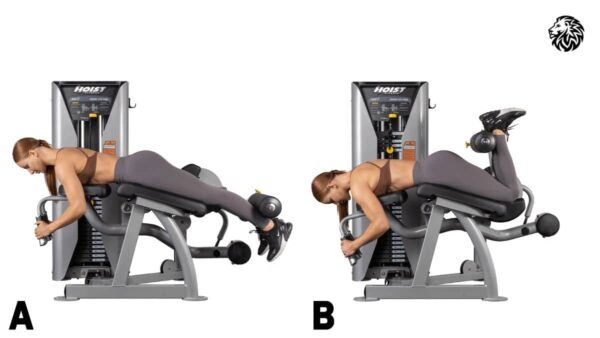 How to Do Lying Leg Curls - Angry Lion Fitness