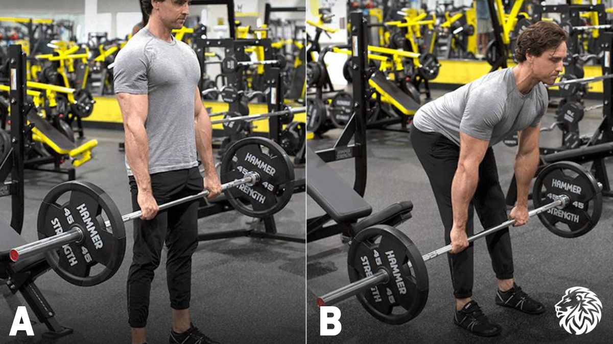 The 10 Best Hamstring Exercises - Angry Lion Fitness