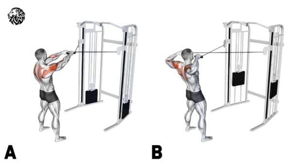 How to Do Cable Face Pull - Angry Lion Fitness